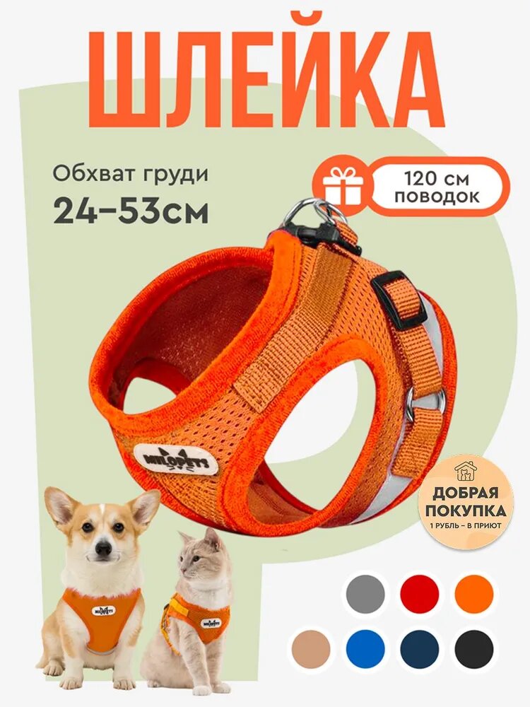 Шлейка для собак мелких пород и кошек MiloPets, с поводком, цвет черный
