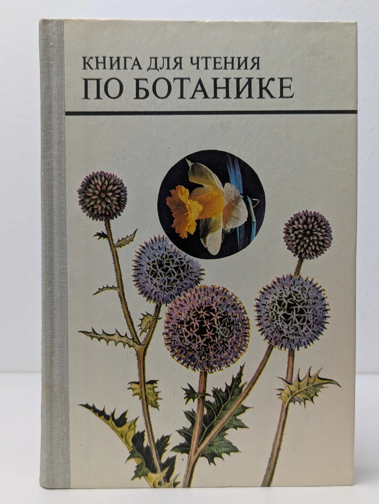 Книга для чтения по ботанике Трайтак Дмитрий Илларионович 1978