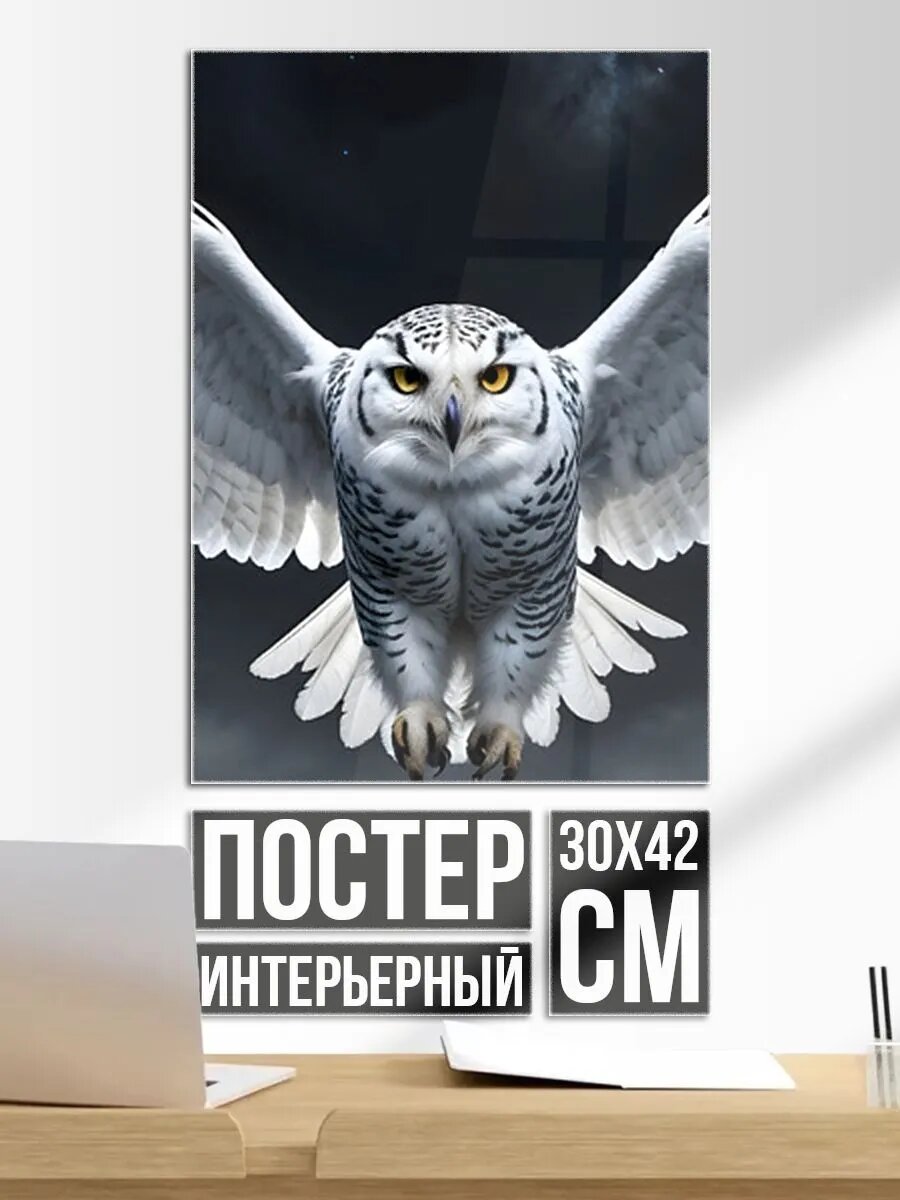 Постер на стену Белая сова в полете