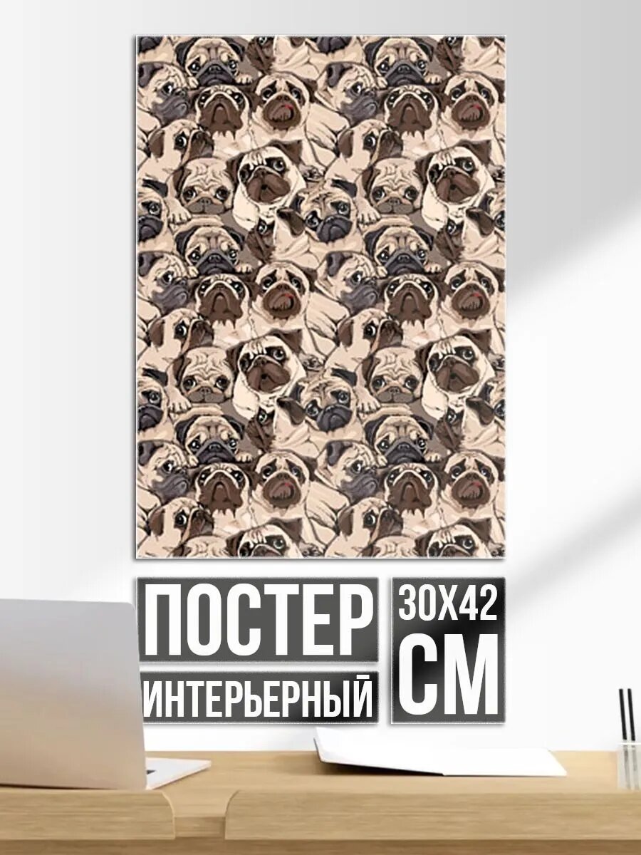 Постер на стену Мопсы Pugs