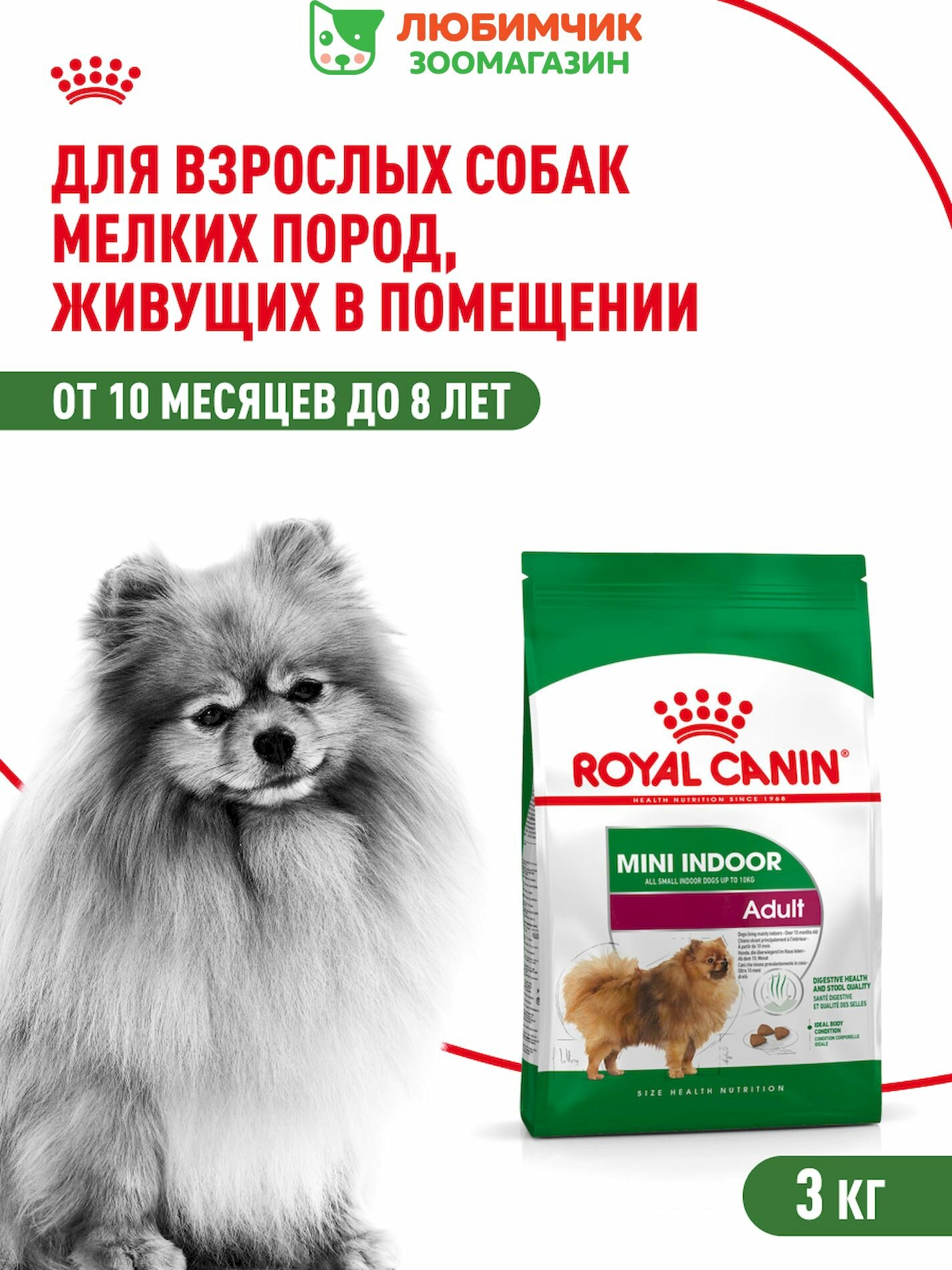 Royal Canin корм для взрослых собак малых пород живущих в помещении 3 кг