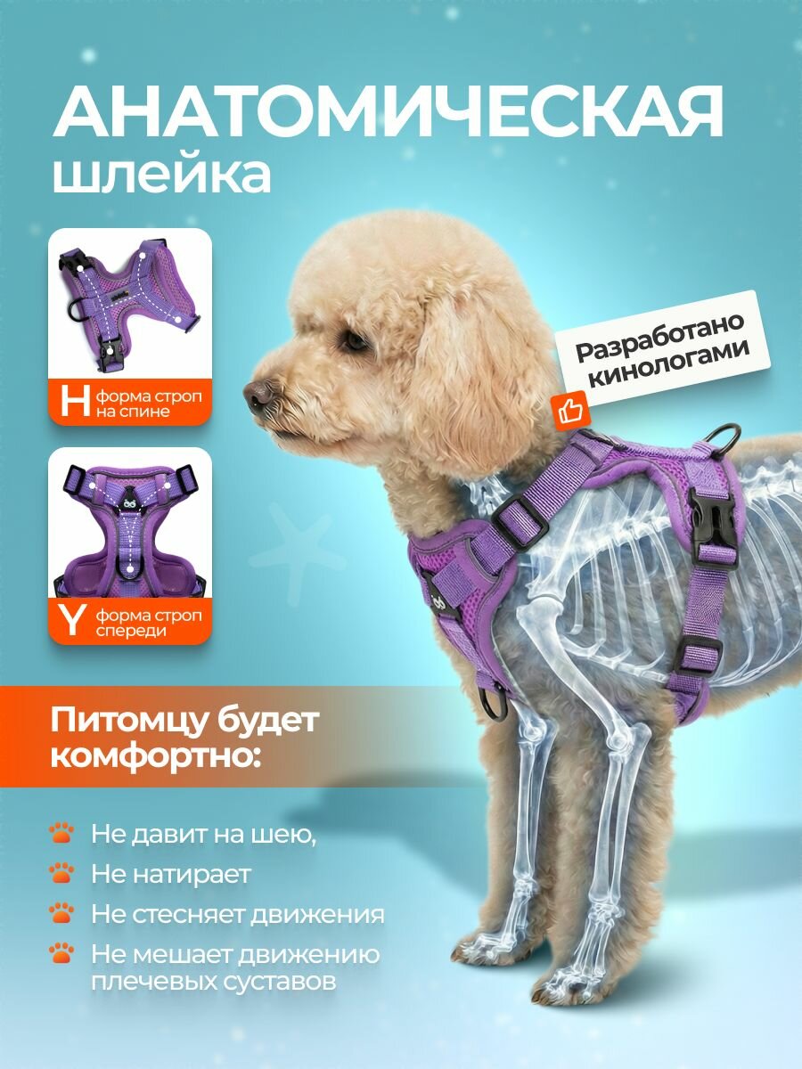 Шлейка для собак и кошек мелких и средних пород с поводком 2 метра