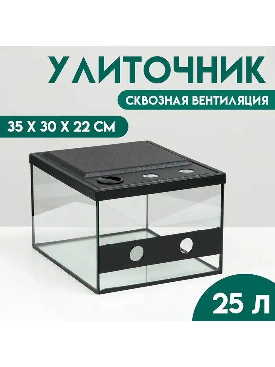 Стеклянный контейнер для улиток с вентиляцией