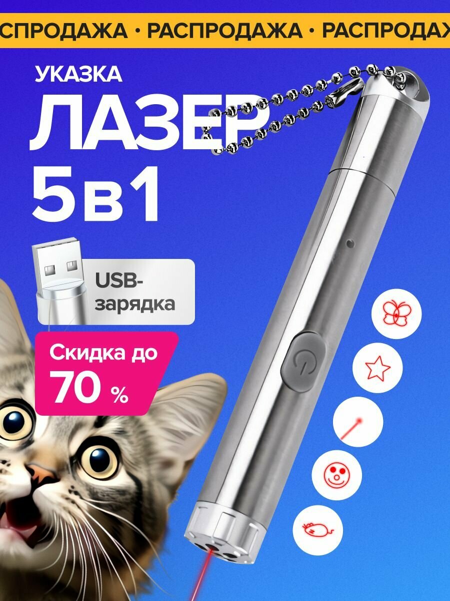 Лазерная указка 5 в 1 для кошек и собак с USB зарядкой аккумуляторная многофункциональная для питомцев