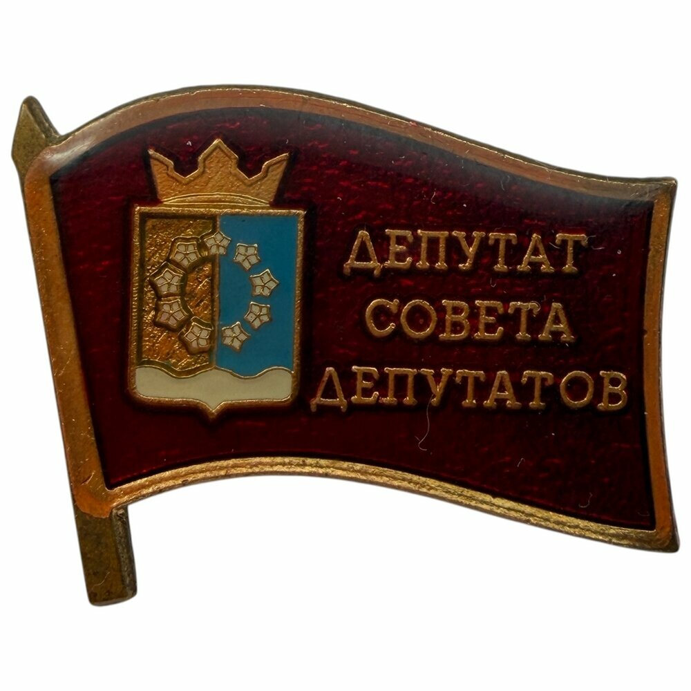 Знак "Депутат совета депутатов" (Ваньковское сельское поселение) Россия 2001-2010 гг. (вид №2)