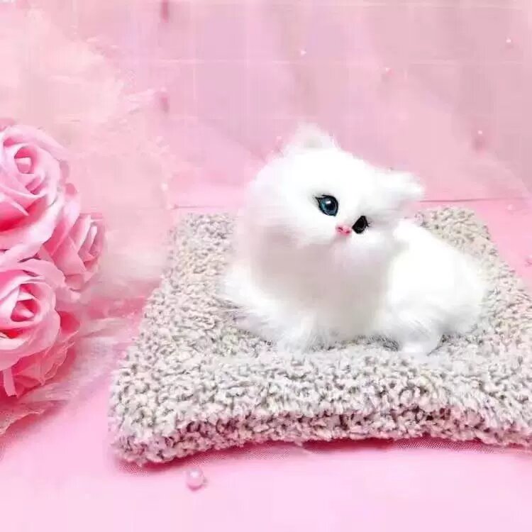 Белая фигурка сидящей кошки с бархатной подушкой, звуковая игрушка