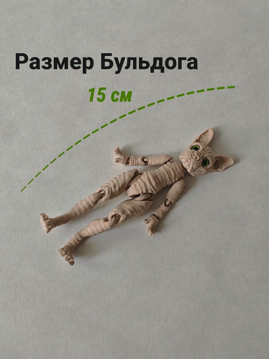 Бульдог скелетон — фото 1