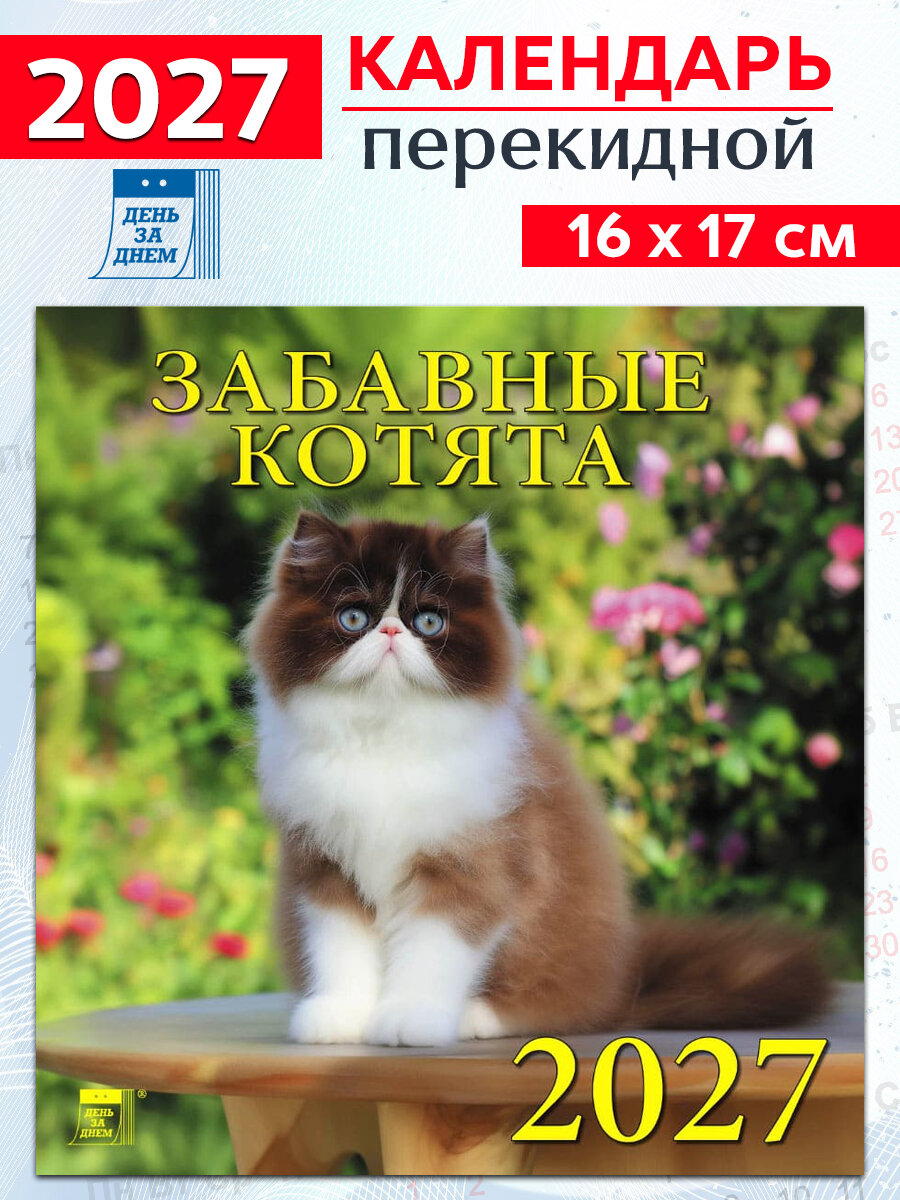 День за днем Календарь на 2027 год: "Забавные котята" 170х160 мм