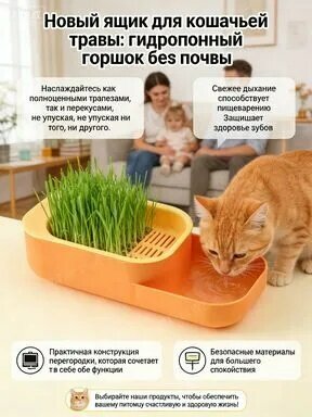 Лакомство для кошек семена смесь