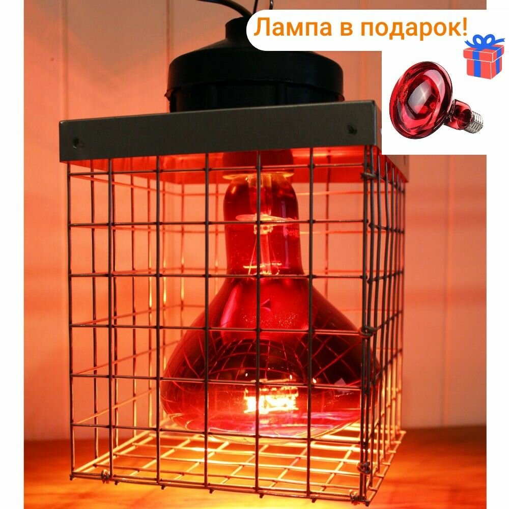 Обогреватель для курятника, цыплят с лампой 250 Вт