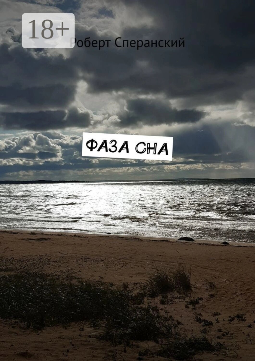 Фаза сна [Цифровая книга]