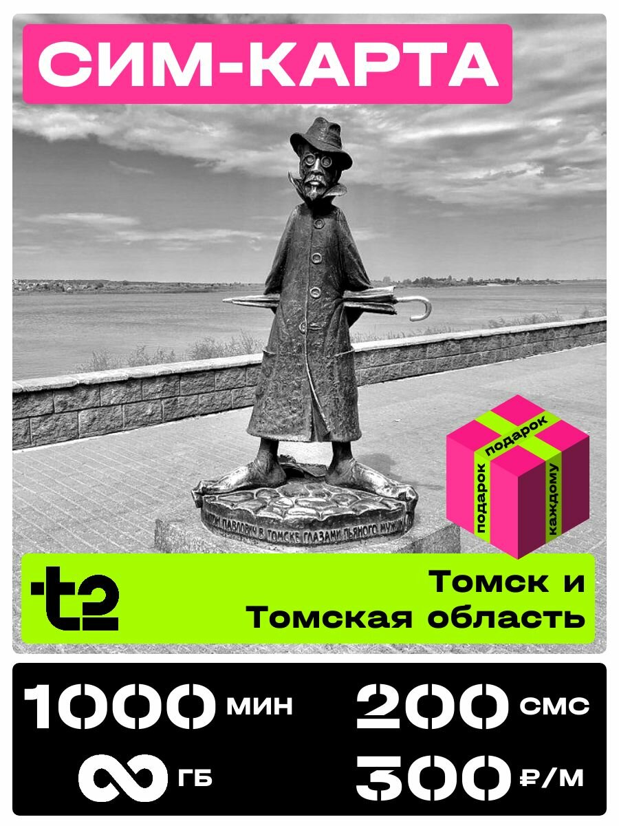 Сим карта теле 2 с безлимитным интернетом. t2 SIM-карта тариф Партнер М Томская область. 1000 минут за 300 рублей в месяц.