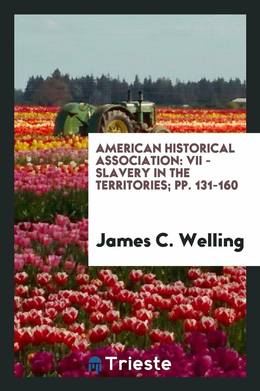American Historical Association. VII - Slavery in the Territories; pp. 131-160