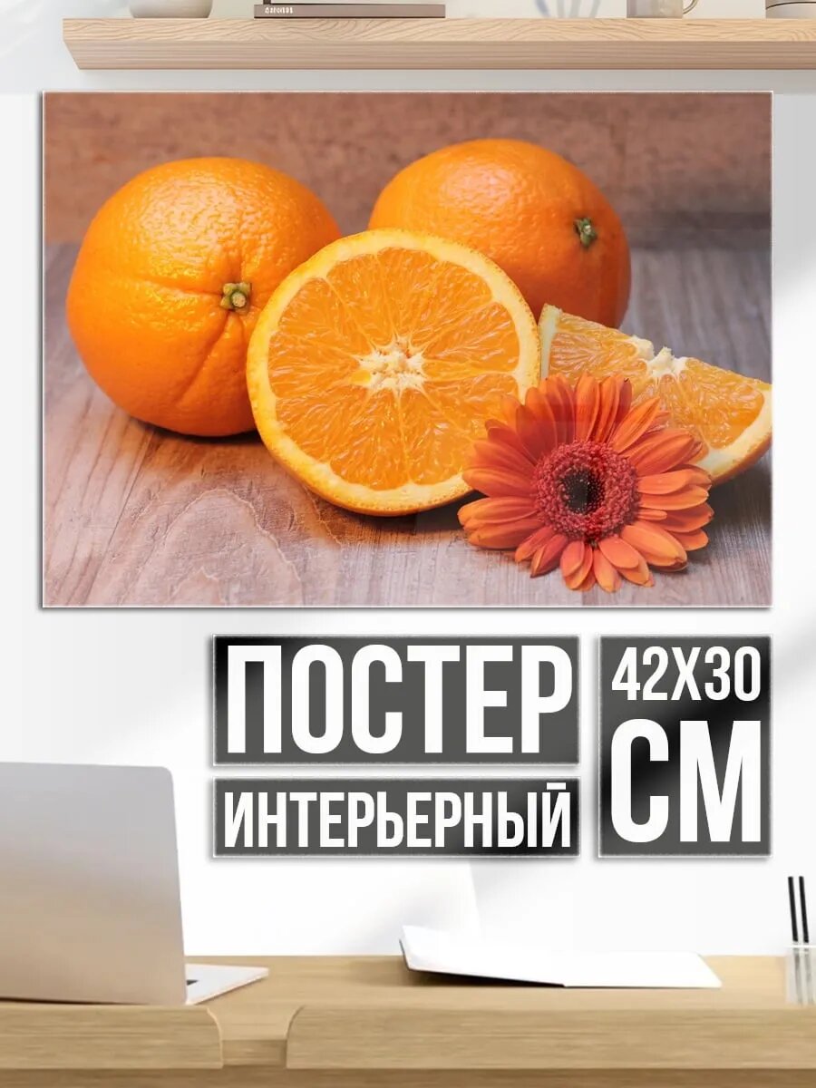 Плакат постер Апельсины и цветок