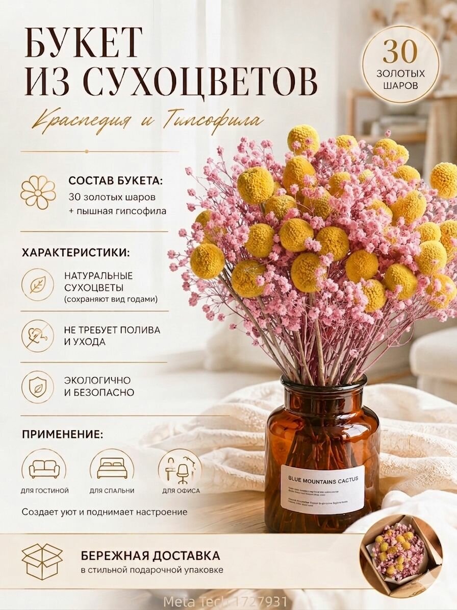 TRAVADECOR Сухоцветы Краспедия, 49 см, 75 гр, 31 шт