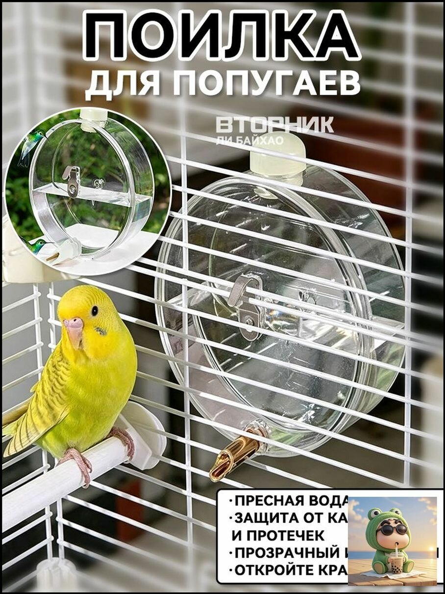 Поилка для попугаев в клетку, большая емкость 0.35 л, защита от протечек, прозрачная, с крючком