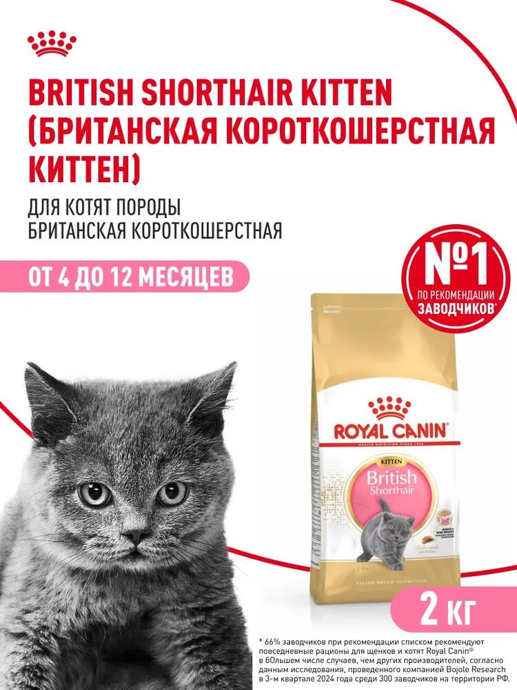 Сухой корм для котят Royal Canin для британской короткошерстной породы, 2 кг