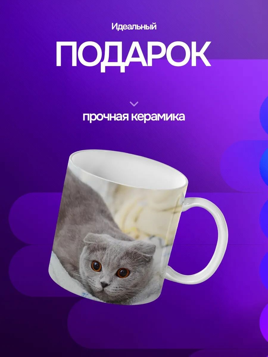 Милая Кружка с рисунком Котик — фото 1