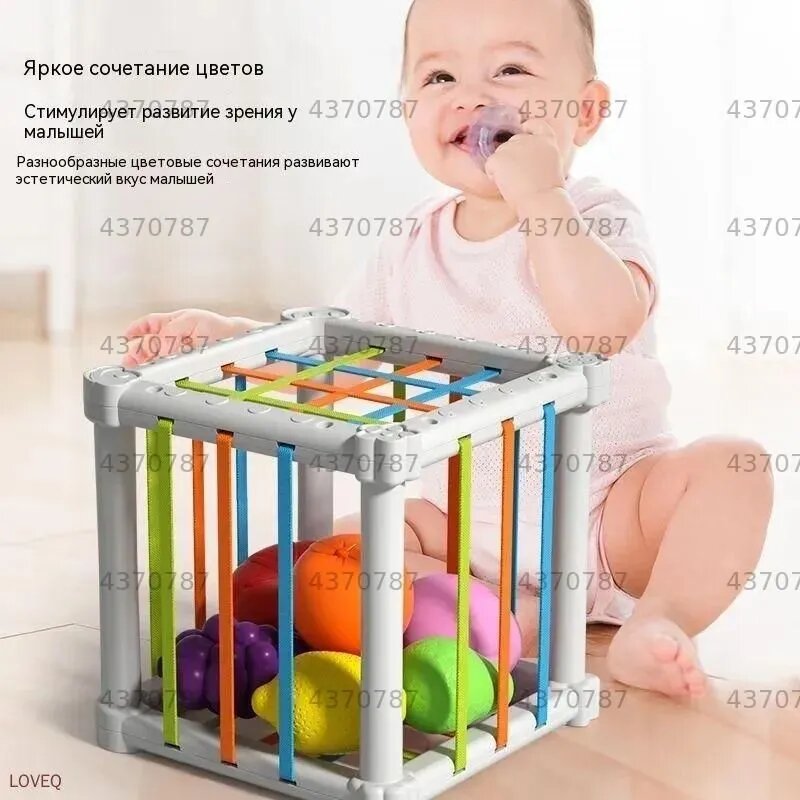 Сортер