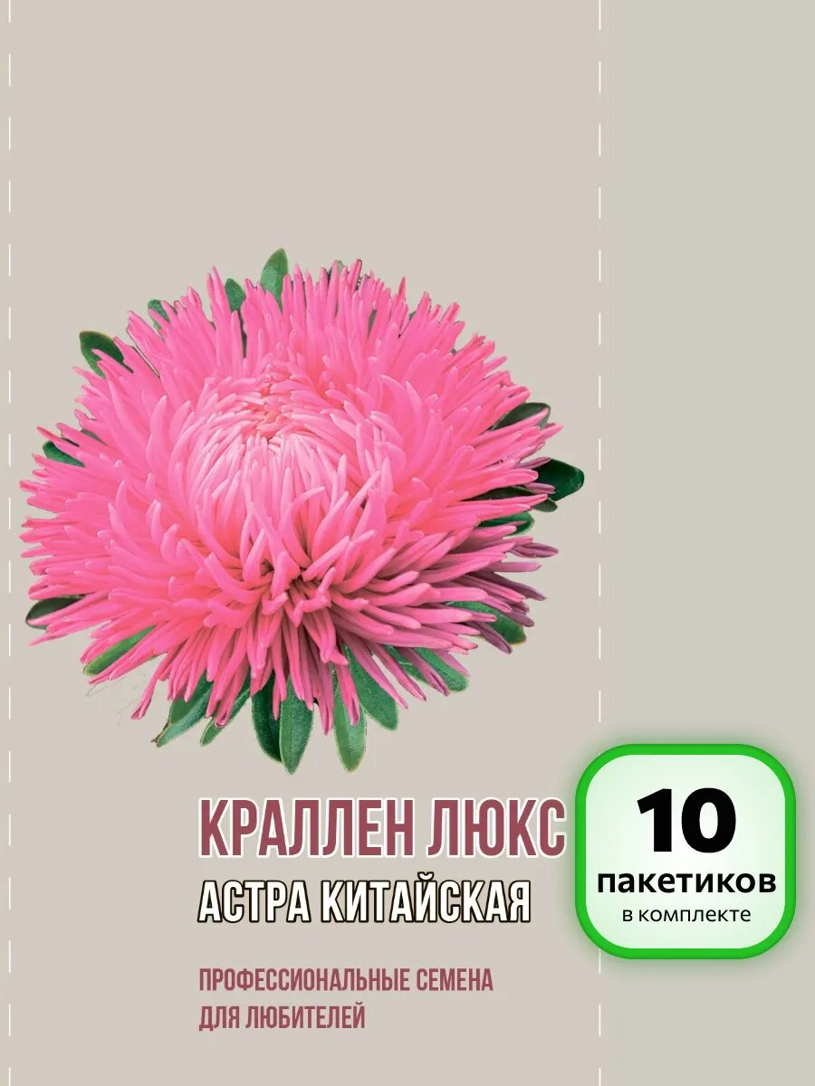 (10 шт.) - Семена Астра китайская караллен люкс 0,2г