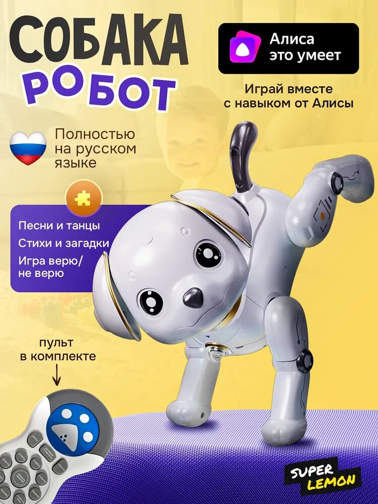 Игрушка радиоуправляемая