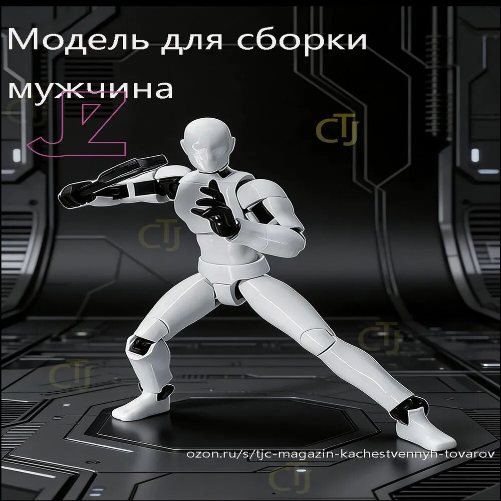 Модели анатомии человека подходят для рисования и зарисовки эскизов. Суставы подвижны. Требуется самостоятельная сборка.