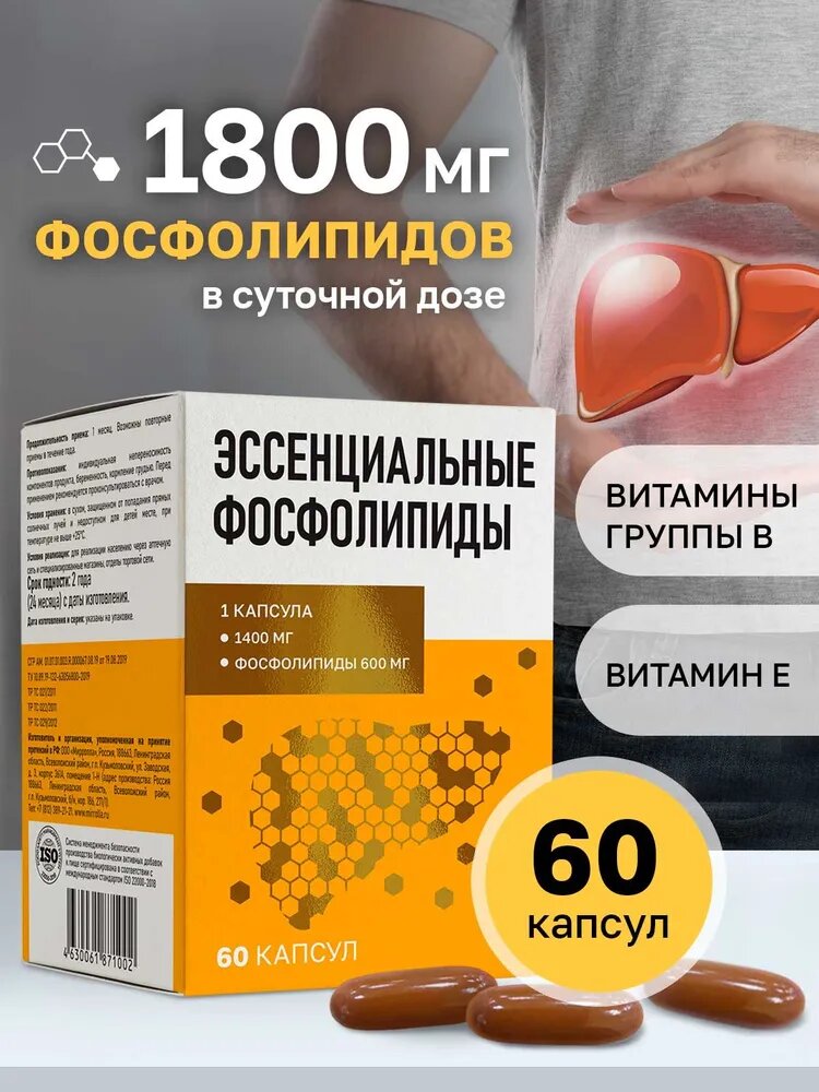 Эссенциальные фосфолипиды MAXI для печени комплекс для иммунитета, ускорения процесса расщепления жиров, 60 капсул