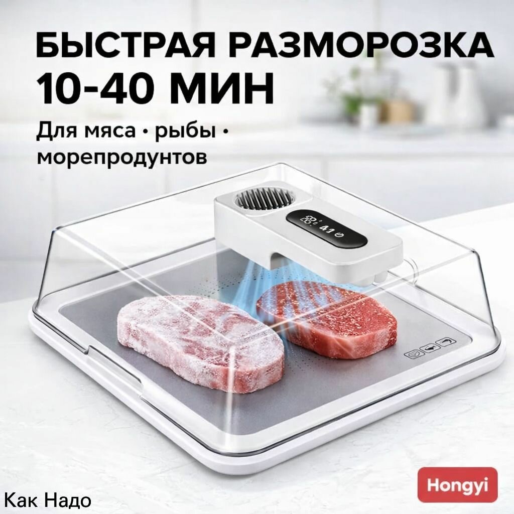 Электрический бокс для быстрой разморозки мяса и рыбы с таймером 1040 минут, кухонный прибор для размораживания продуктов