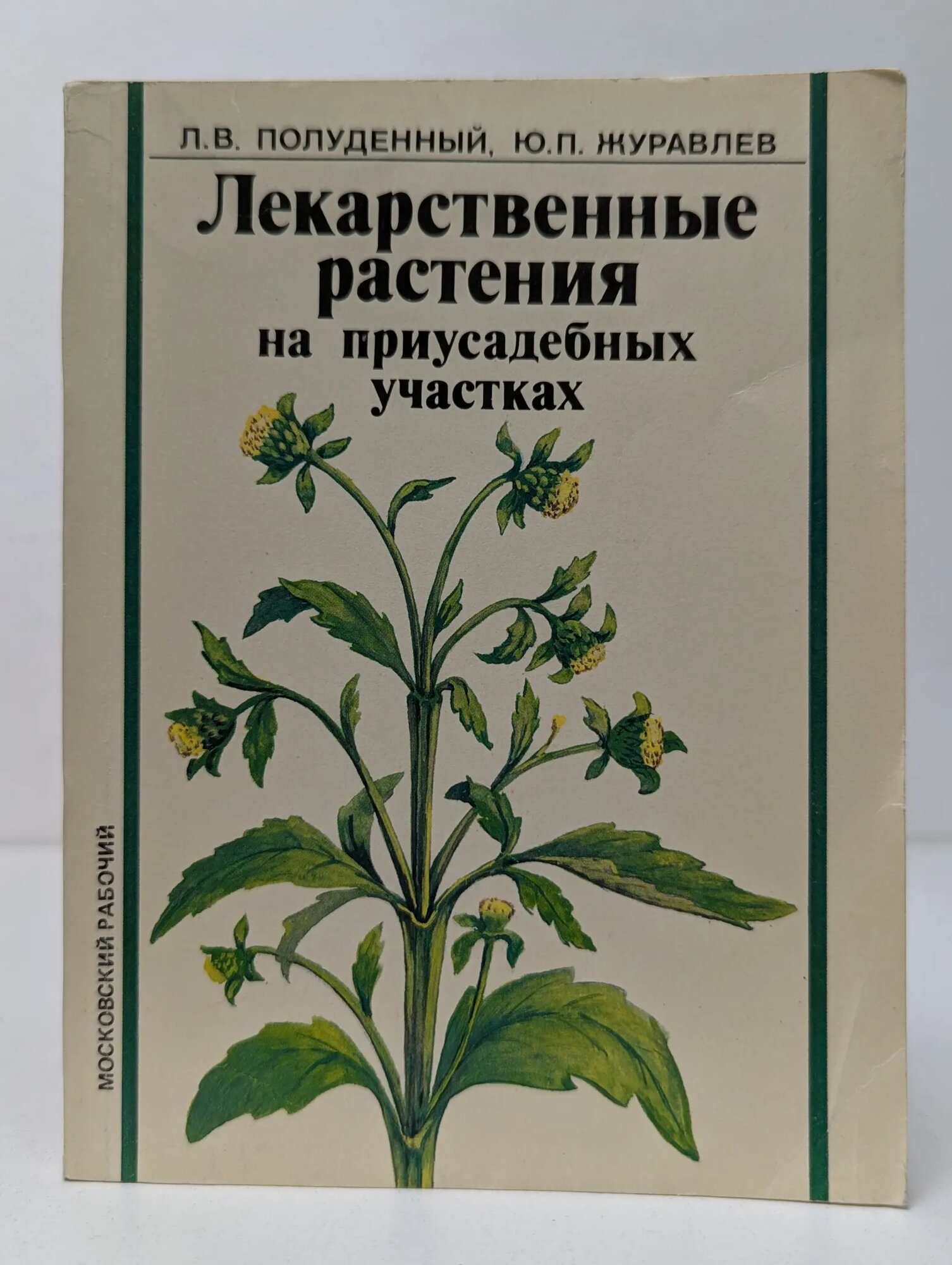Лекарственные растения на приусадебных участках Полуденный Леонид Владимирович, Журавлев Юрий Павлович 1989