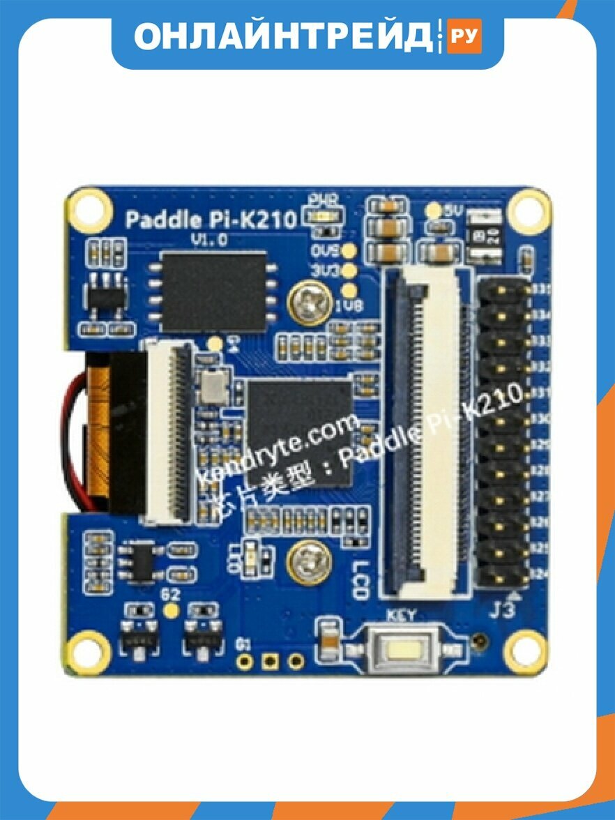 Микрокомпьютер Kendryte D1401000006