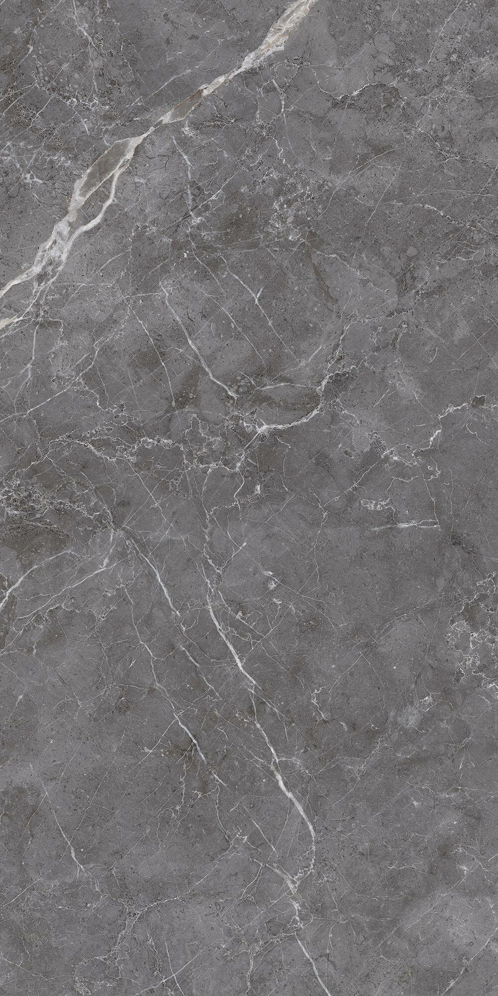 Керамогранит Arcadia Ceramica Esperia Grigio Lappato CL4003-A серый карвинг 60х120 см