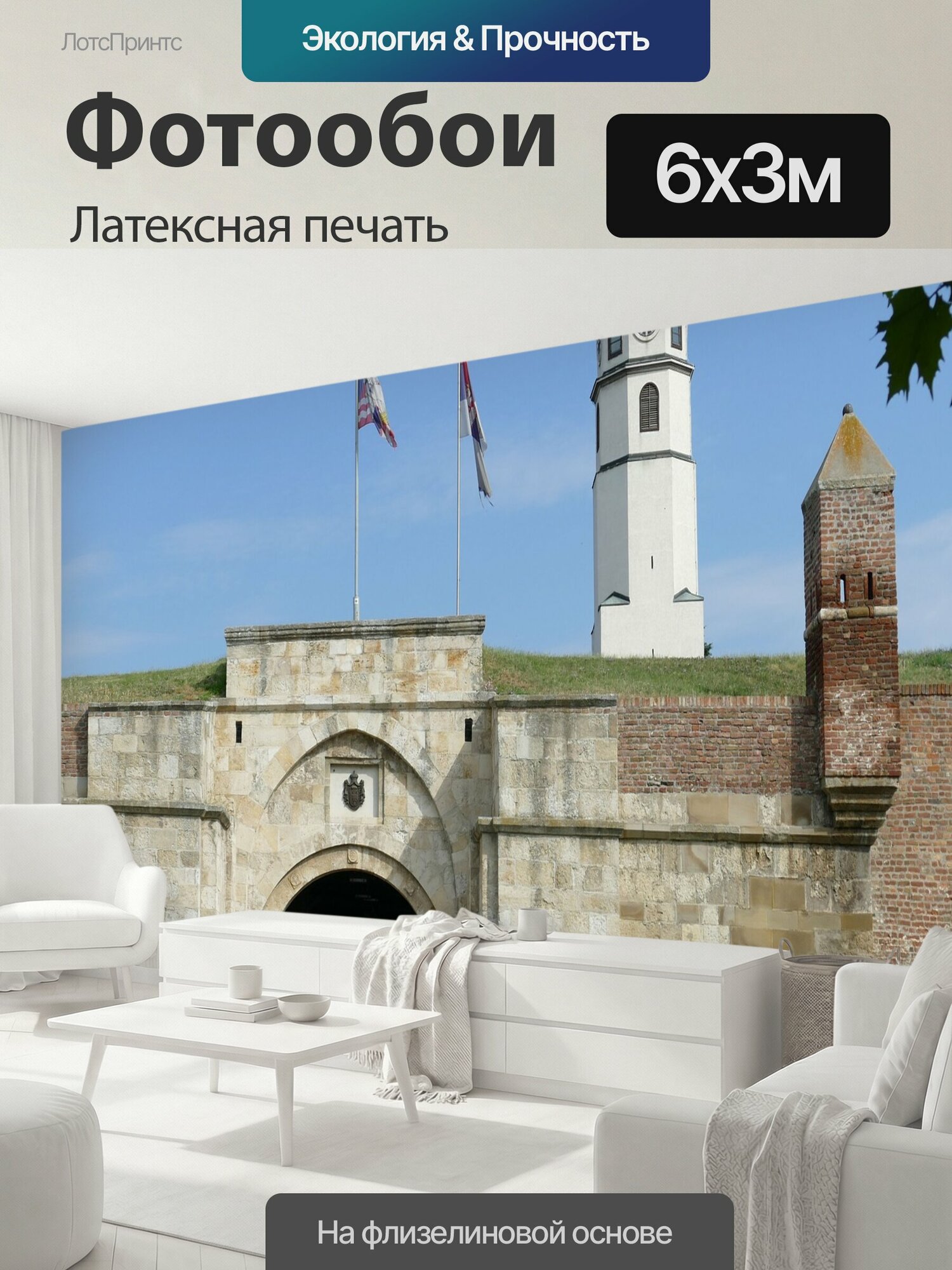 Фотообои моющиеся ударопрочные "Белград, сербия, столица" 600x300 см. латексная печать