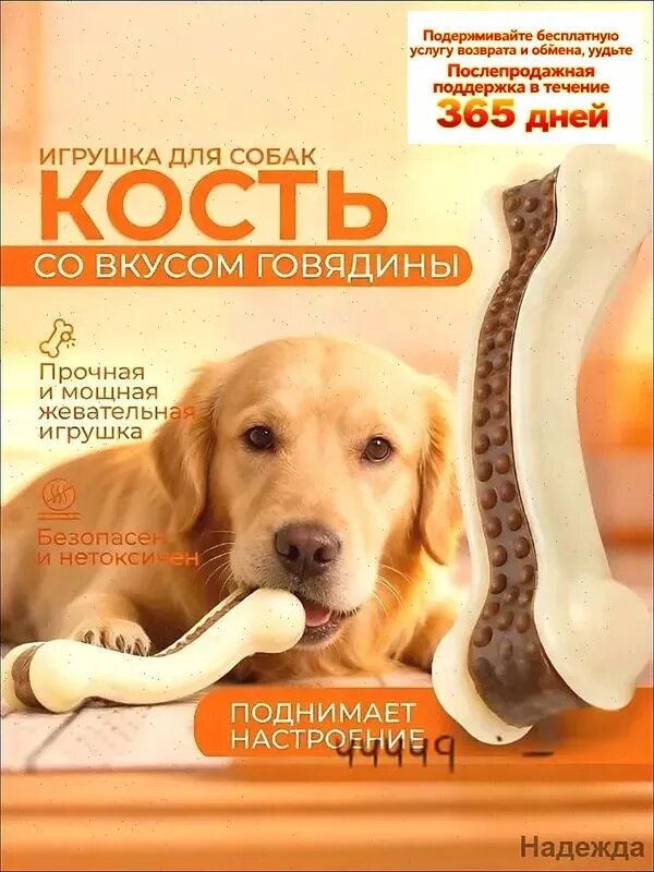 Жевательная косточка игрушка для собак мелких, средних и крупных пород, нейлоновый грызунок со вкусом говядины для чистки полости рта, профилактики зубного камня и массажа десен