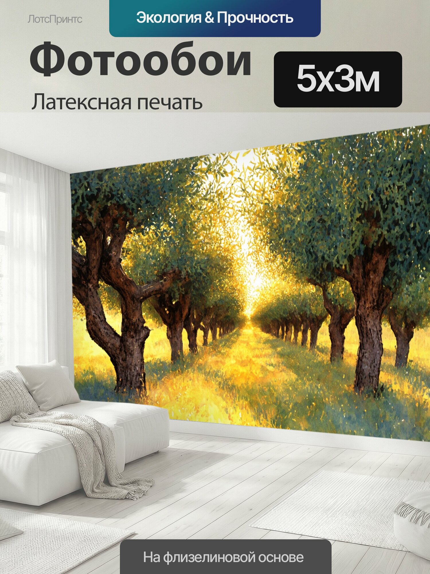 Фотообои моющиеся ударопрочные "Прованс запечатлевают красоту старого оливкового сада в лучах заката. оливковые деревья имеют мощные стволы с." 500x300 см. латексная печать