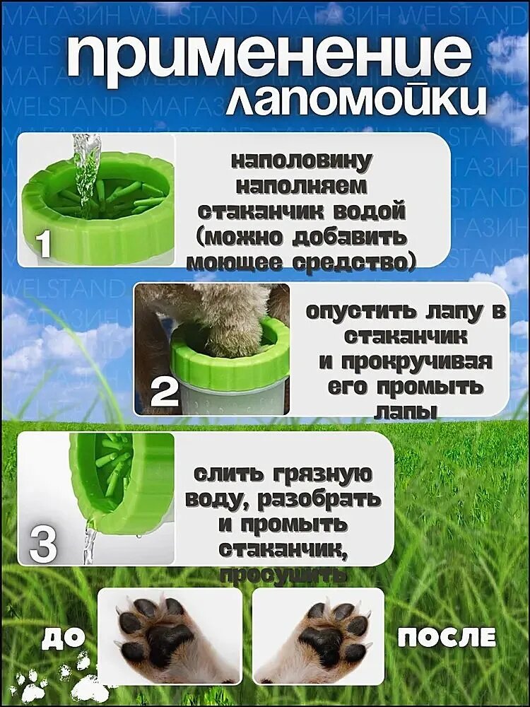 Лапомойка — фото 1