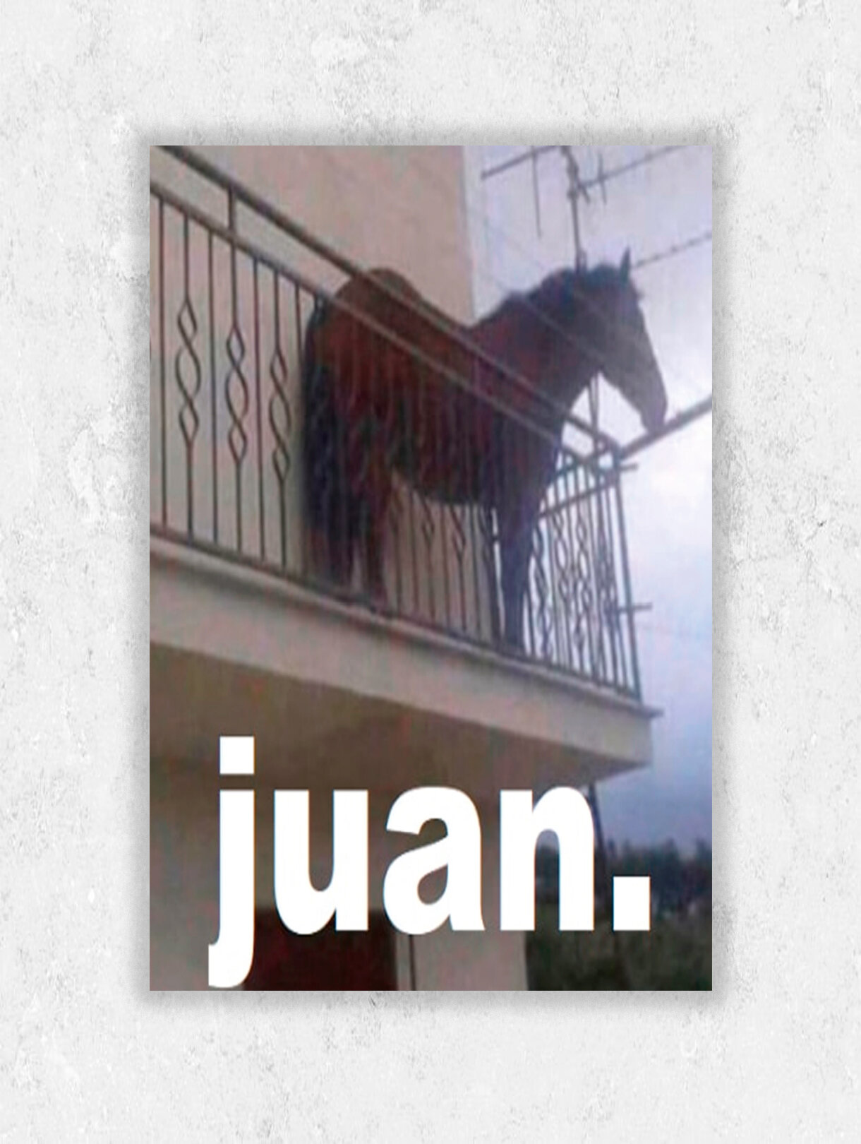 Плакат-мем "Конь-juan"