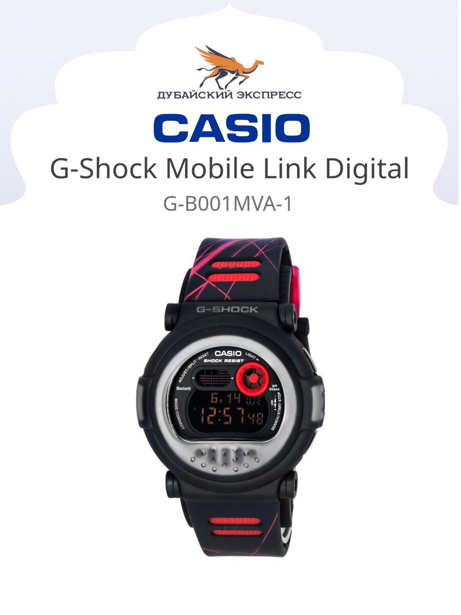  CASIO