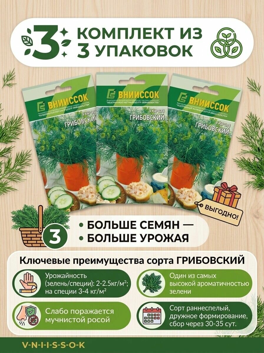 Укроп Грибовский 3шт семена внииссок