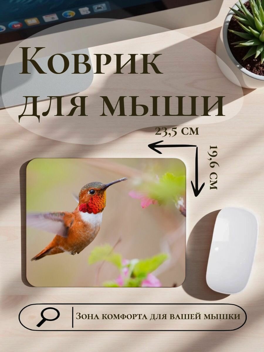 Коврик для мыши охристый колибри