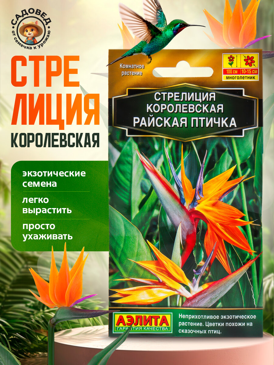 Стрелиция королевская "Райская птичка" семена 3шт, семена цветов комнатных аэлита семена стрелиции королевской райская птичка комнатные цветы