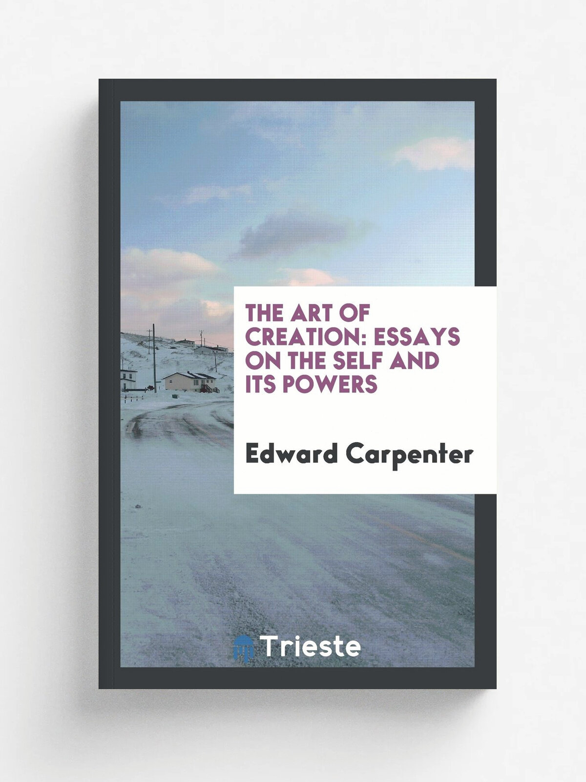 The Art of Creation. Essays on the Self and Its Powers