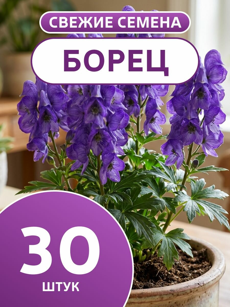 Борец семена для выращивания 30 шт