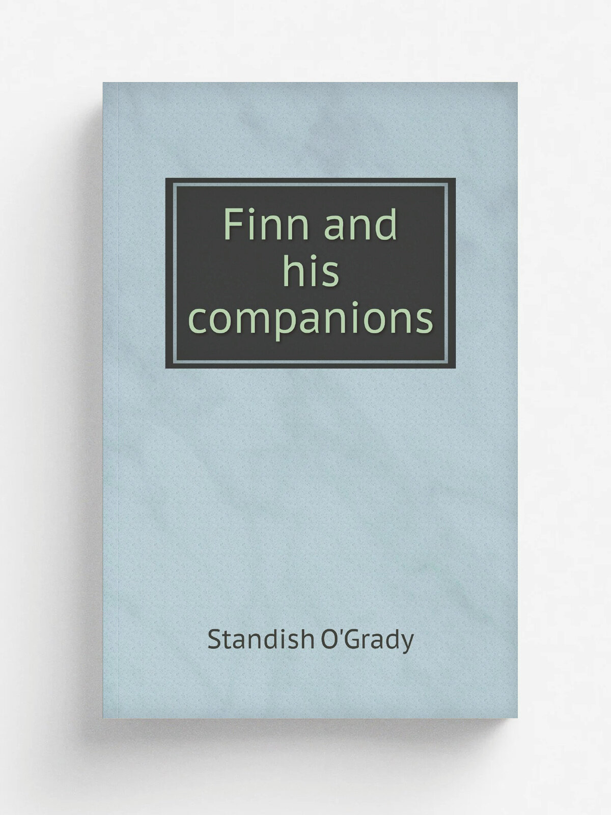 Finn and his companions