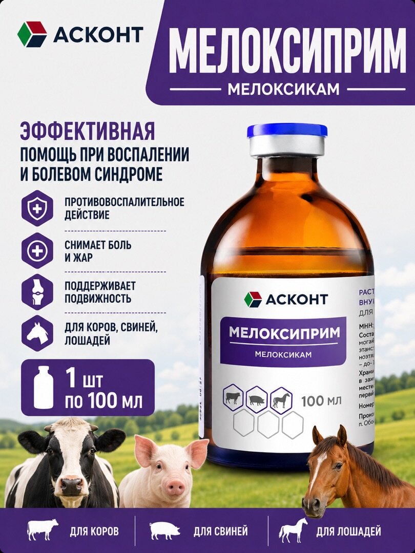 Мелоксиприм асконт противовоспалительное средство 100мл