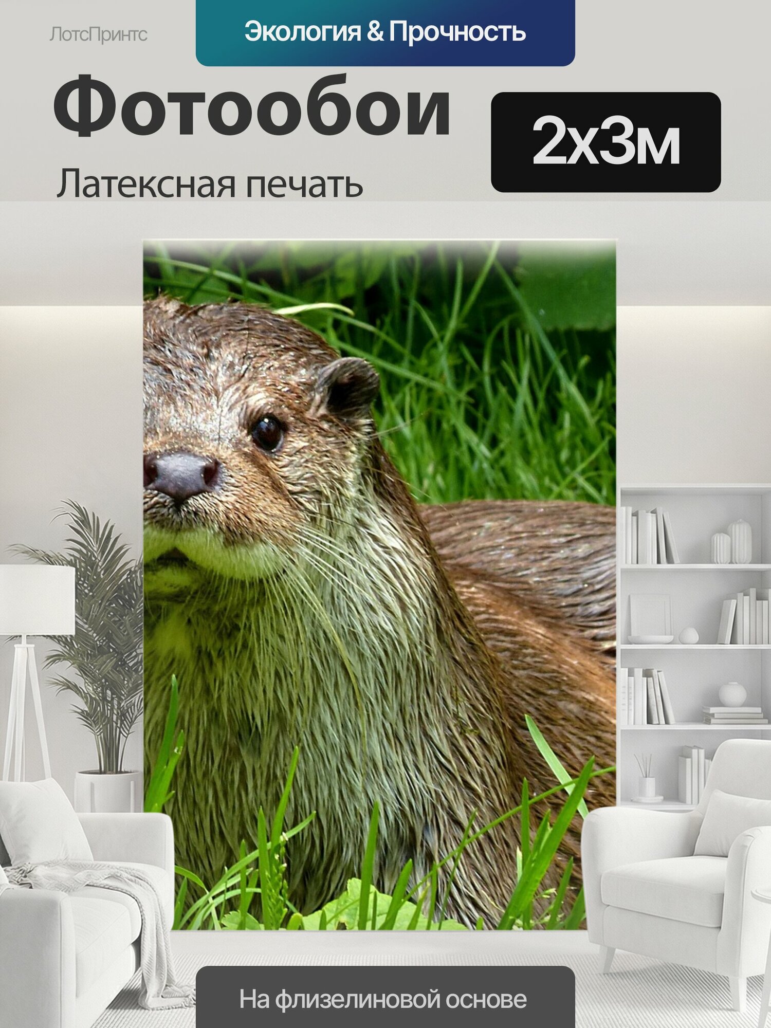Фотообои моющиеся ударопрочные "Выдра, лутра, животное" 200x300 см. латексная печать