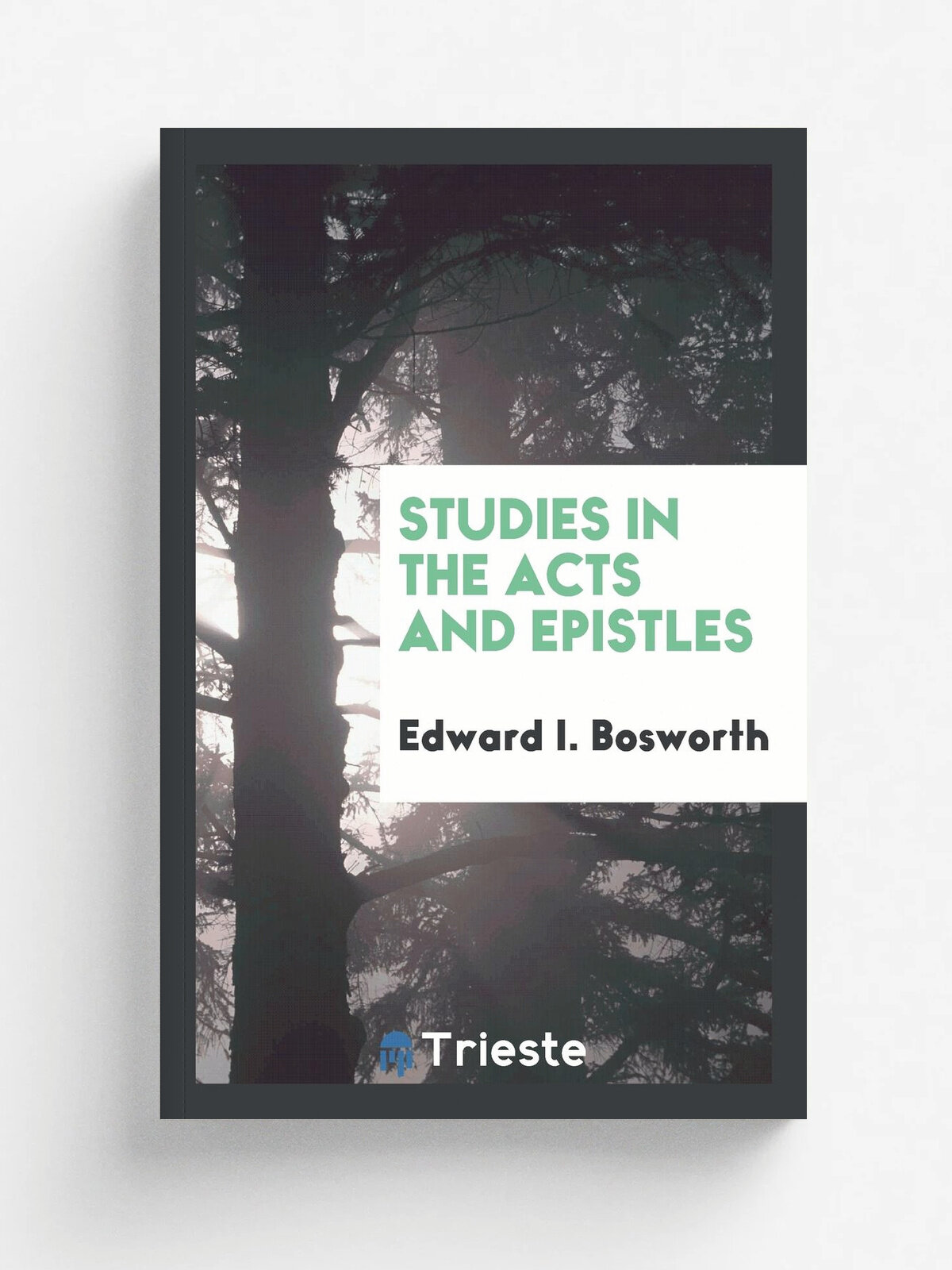 Studies in the Acts and Epistles