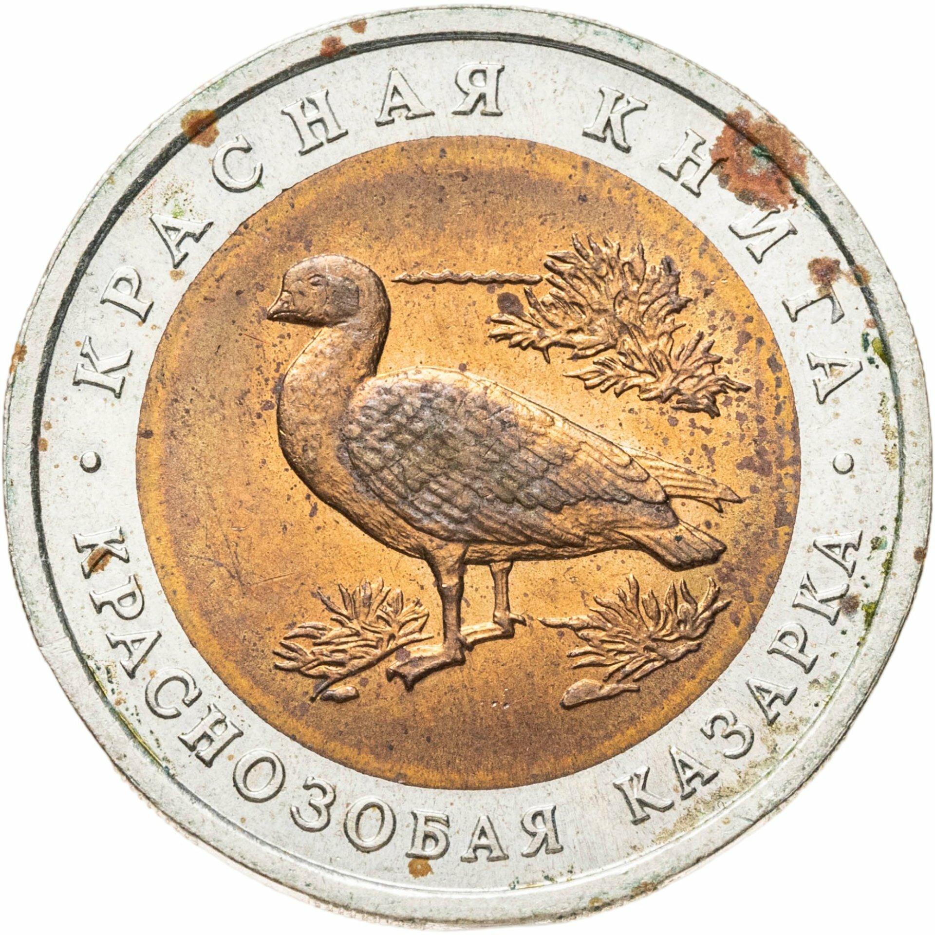 10 рублей 1992 ЛМД краснозобая казарка, Биметалл, в сохранности XF-AU