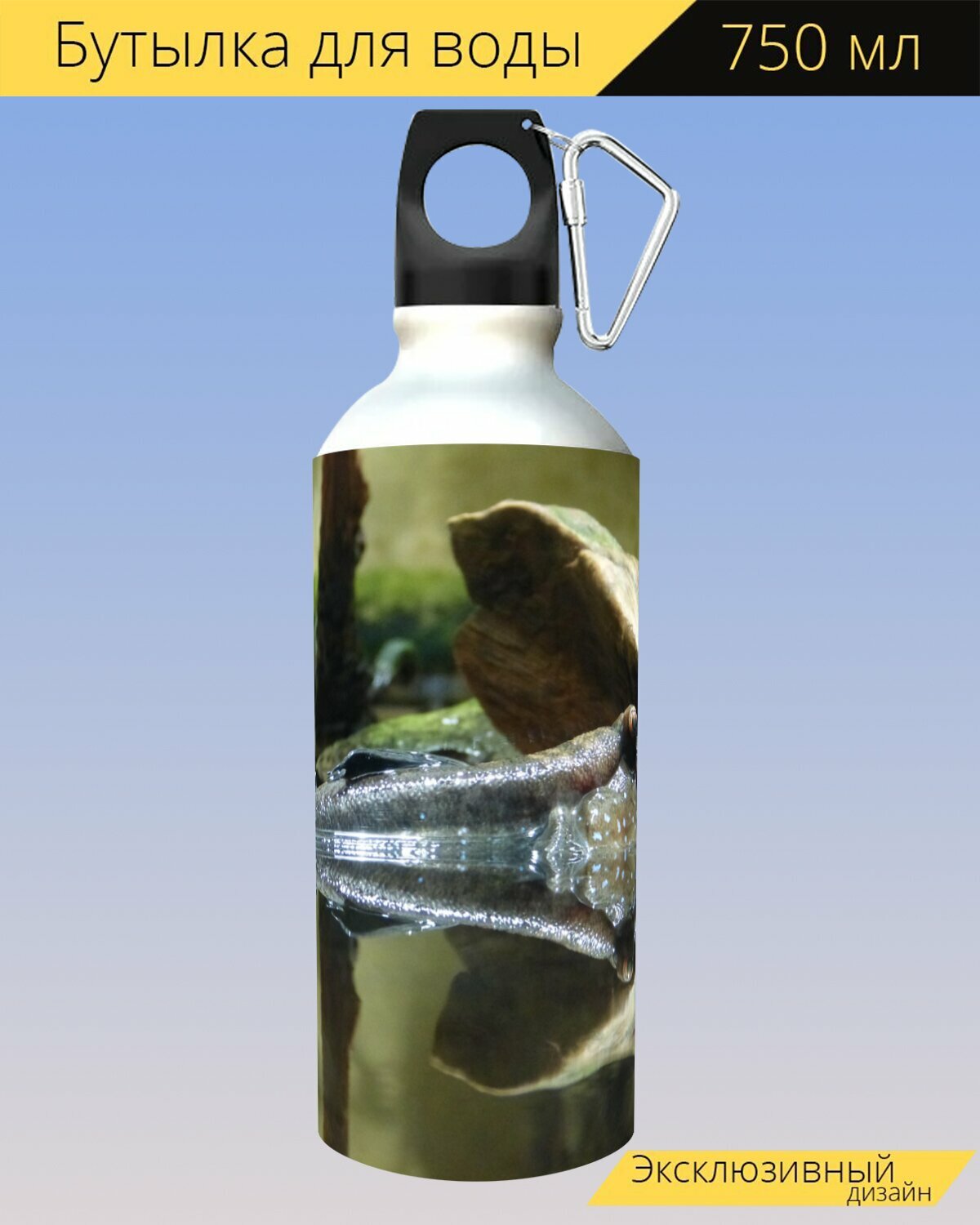 Бутылка фляга для воды "Илистые прыгуны, рыбы, животное" 750 мл. с карабином и принтом