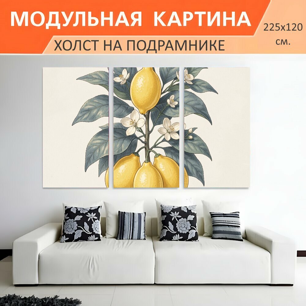 Модульная картина на холсте "Лимонная ветвь с цветами. Ботаническая иллюстрация с сочными жёлтыми цитрусами, крупными сине-зелёными." триптих на подрамнике 225х120 см. для интерьера