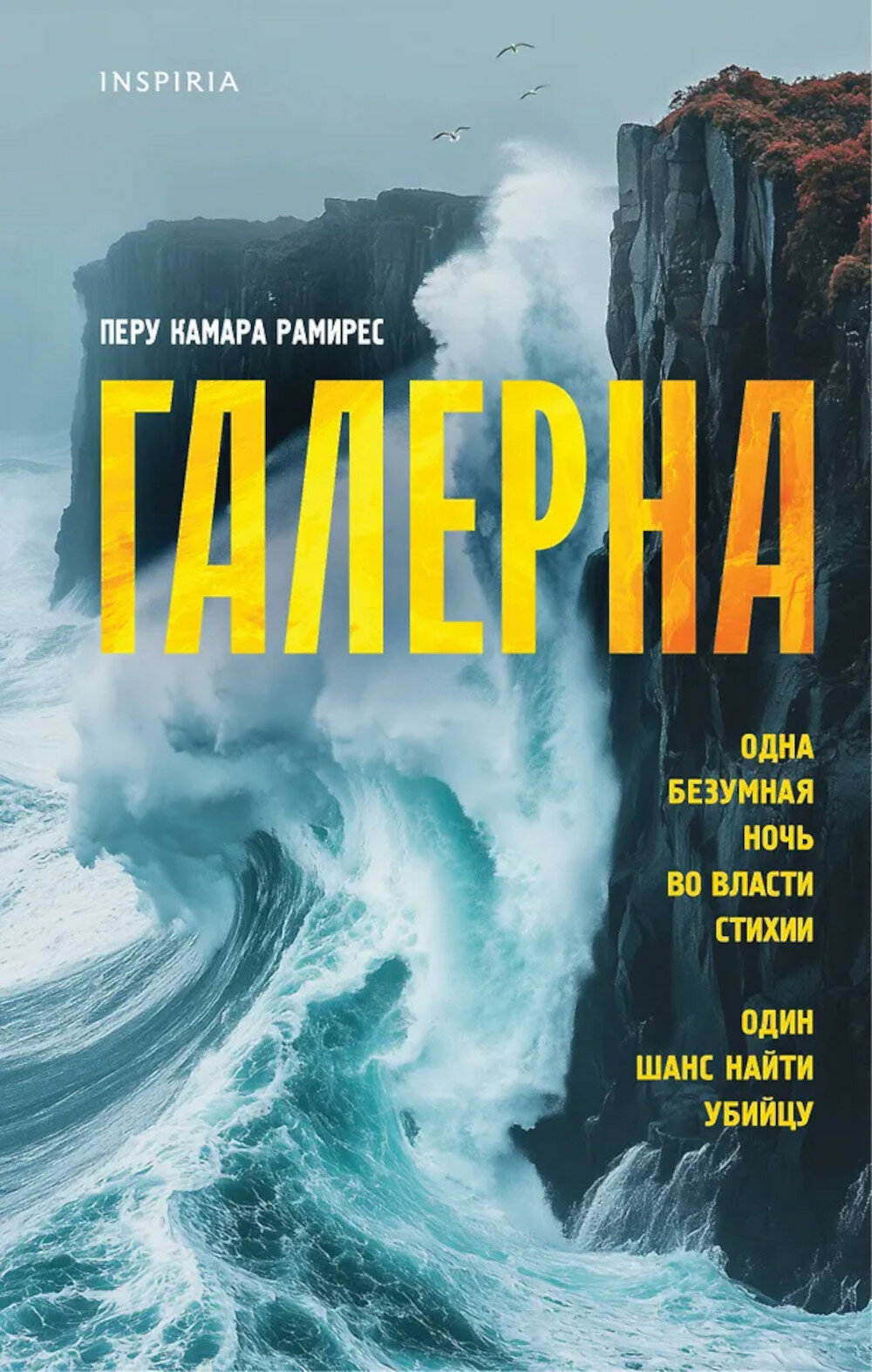 Галерна. Камара Рамирес П.